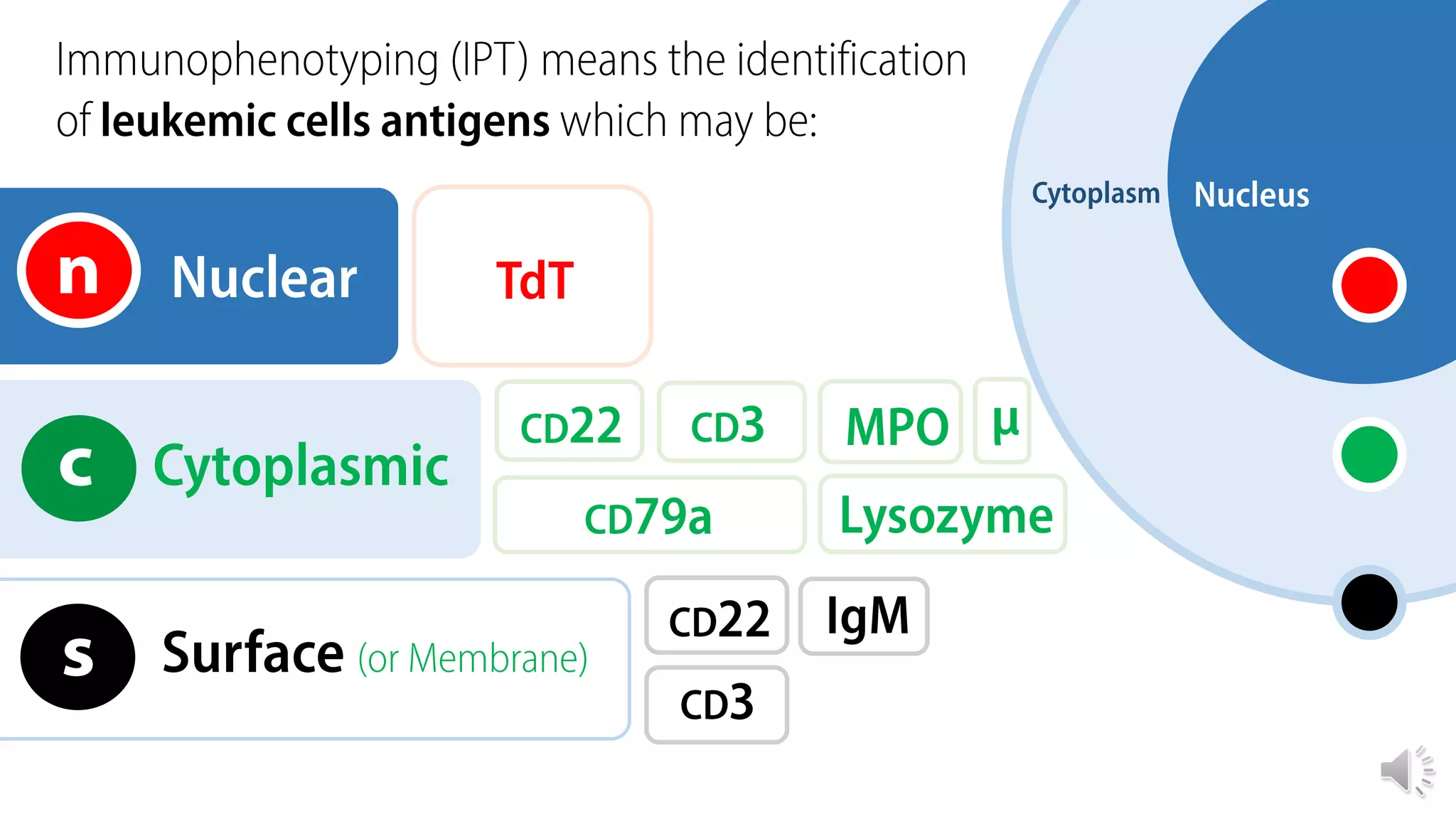 Immunophenotyping of acute leukemia - part 2 | PDF