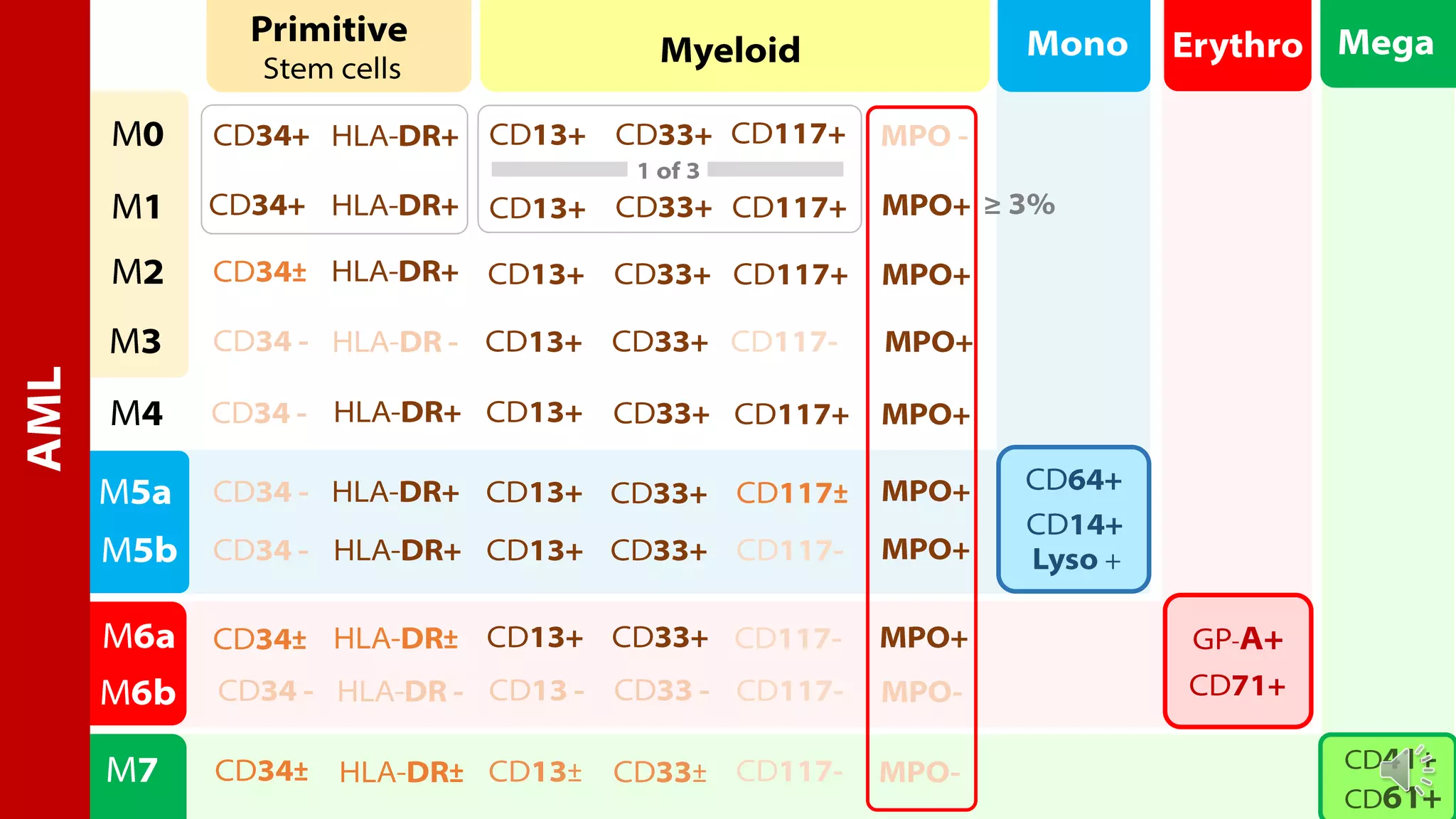 Immunophenotyping of acute leukemia - part 2 | PDF