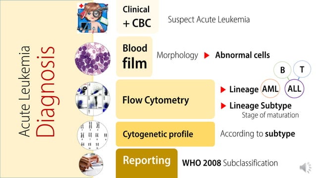 Immunophenotyping of acute leukemia - part 2 | PDF