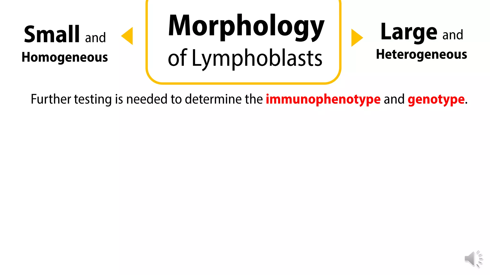 Immunophenotyping of acute leukemia - part 3 | PDF