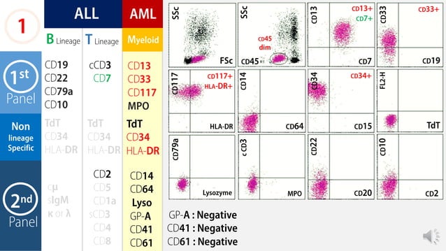 Immunophenotyping of acute leukemia - part 3 | PPT