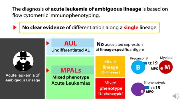 Immunophenotyping of acute leukemia - part 4 | PDF