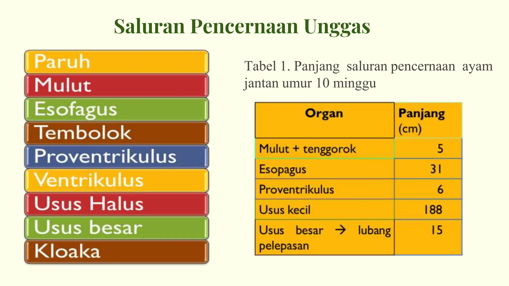 IPT UNGGAS iiiiiiiiiiiiiiiiii Kel 2.pptx