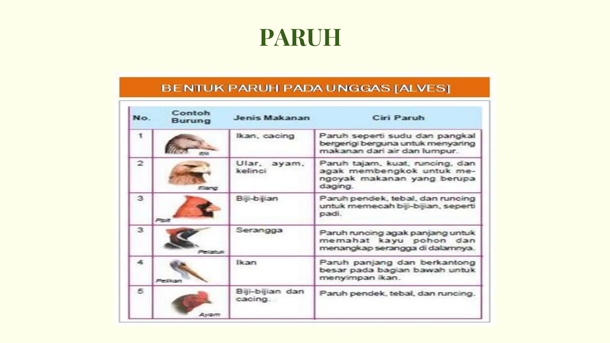 IPT UNGGAS iiiiiiiiiiiiiiiiii Kel 2.pptx