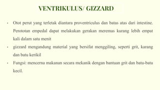 IPT UNGGAS iiiiiiiiiiiiiiiiii Kel 2.pptx