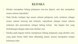 IPT UNGGAS iiiiiiiiiiiiiiiiii Kel 2.pptx