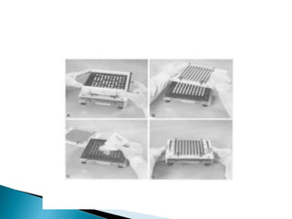 Capsule and its filling methods | PPTX