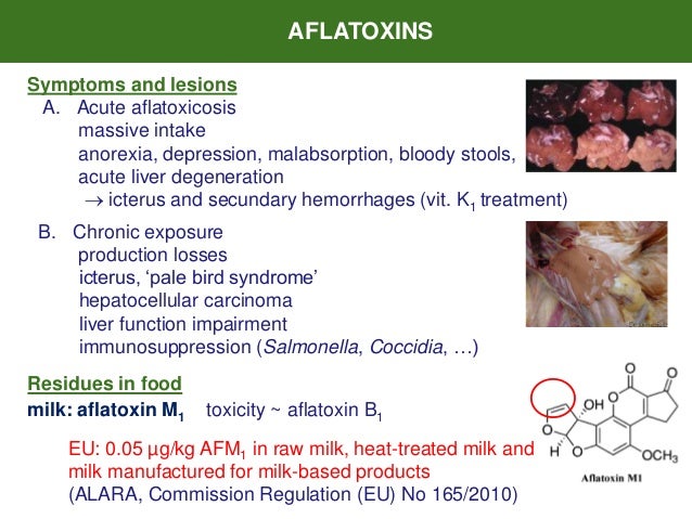 MYCOTOXINS and ANIMAL HEALTH: focus on intestinal health