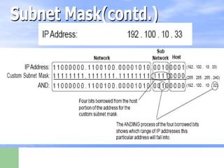 IPv4 Addressing | PPT