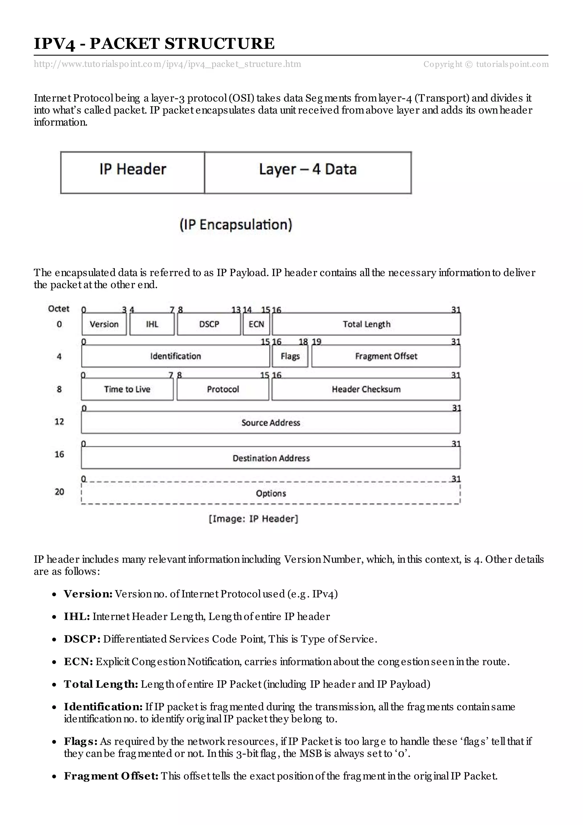 Ipv4 Packet Structure Pdf 