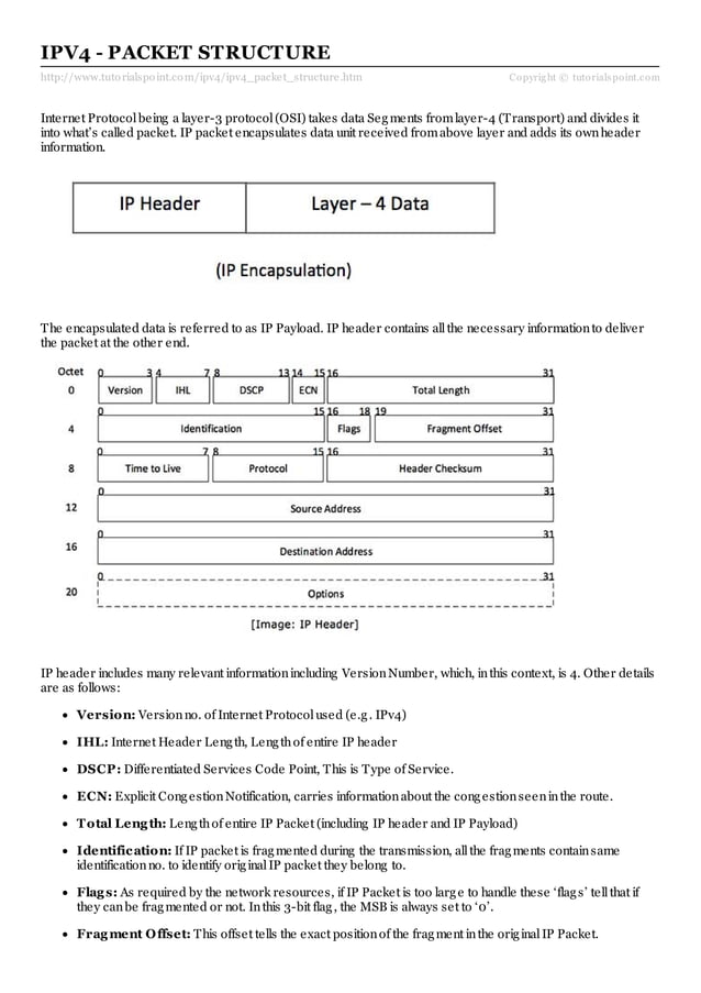 Ipv4 packet structure | PDF | Computer Networking | Computing