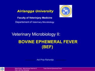 IP Viral BEF-engl_rev.pdf