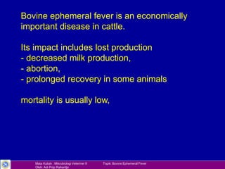 IP Viral BEF-engl_rev.pdf