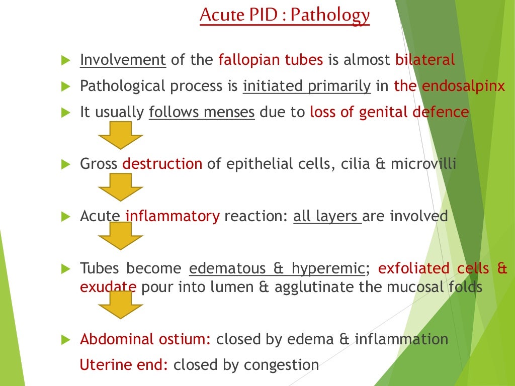 Pelvic inflammatory disease (pid)