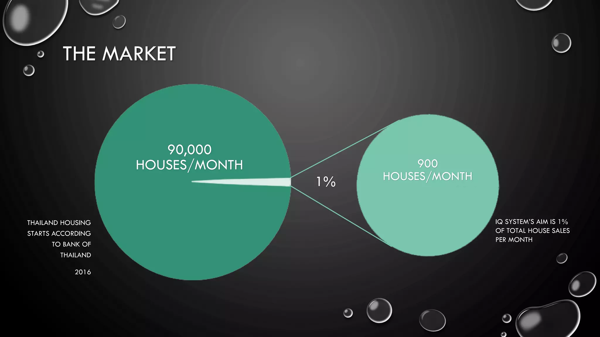 Iq system slides | PDF