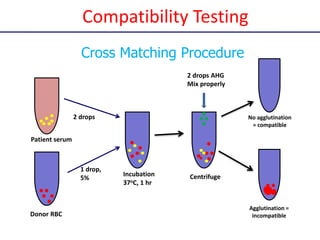 iqbal presentation.pptx