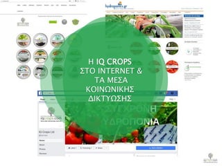 IQ CROPS Integrated Hydroponic Solution Catalogue | PDF