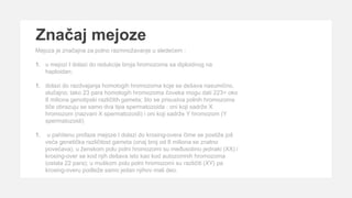 Razmnozavanje. Mitoza. Spermatogeneza.pptx