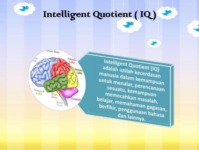 Iq, eq, sq, dan hubungannya Iq, eq, sq, dan hubungannya