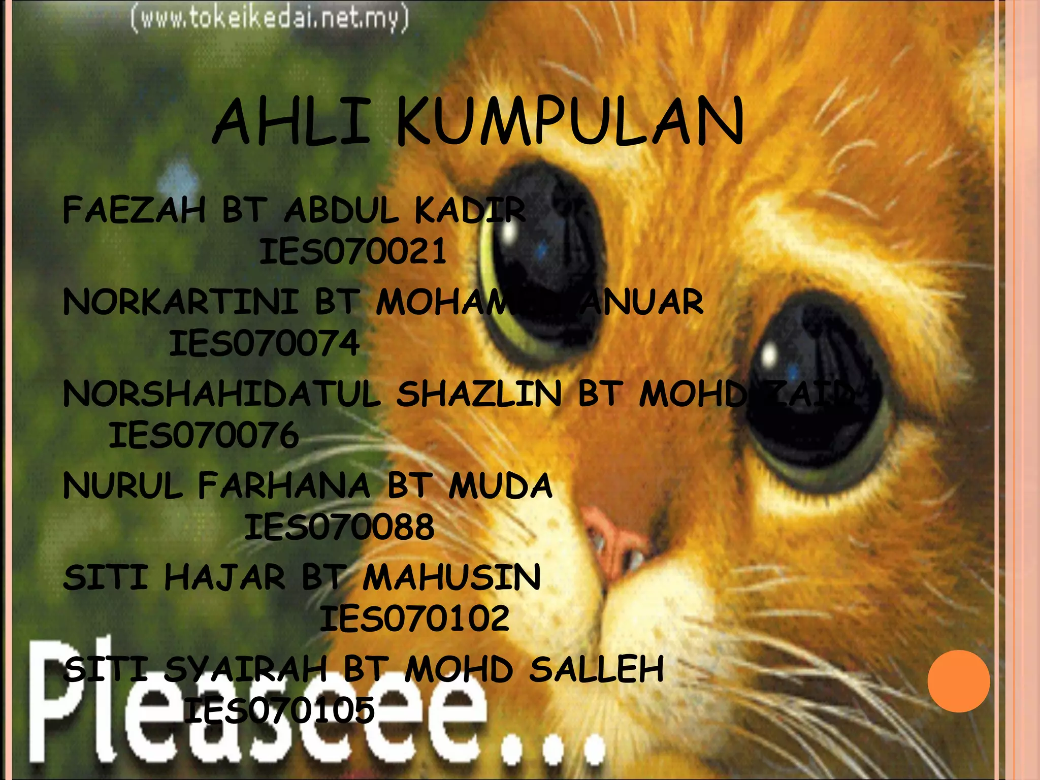 KUCING DALAM ISLAM (Iqeu 2110 al quran dan sains) | PPT