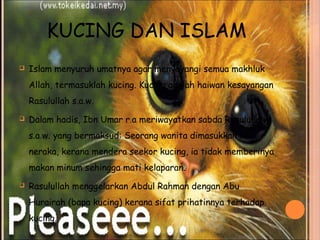 KUCING DALAM ISLAM (Iqeu 2110 al quran dan sains) | PPT