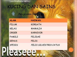 KUCING DALAM ISLAM (Iqeu 2110 al quran dan sains) | PPT