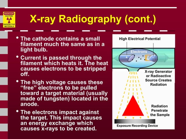 Radiography Testing.ppt | Medical Tests | Medical Health
