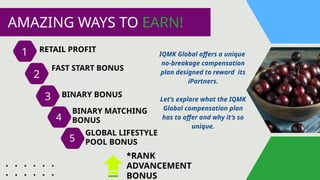 IQMK Global Best Compensation Pay Plan | PPT