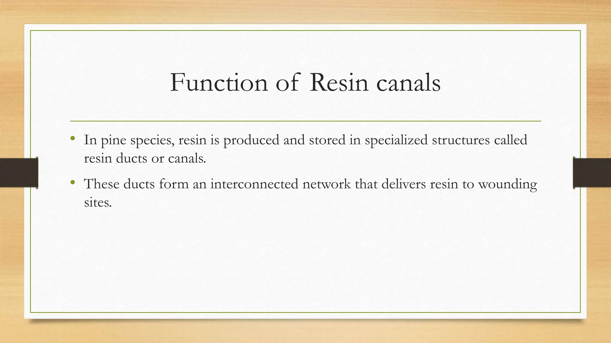 Lacticifers and Resin canal Presentation.pptx
