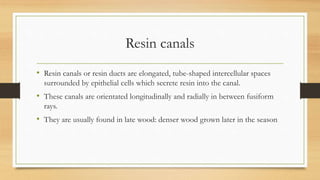 Lacticifers and Resin canal Presentation.pptx