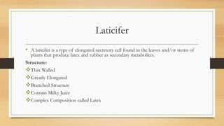 Lacticifers and Resin canal Presentation.pptx