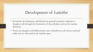 Lacticifers and Resin canal Presentation.pptx