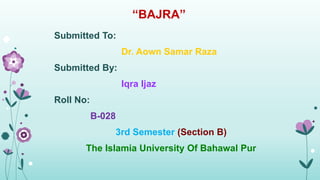 Bajra Crop Reported By IQRA IJAZ | PPTX