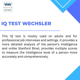 Official IQ Test | PDF