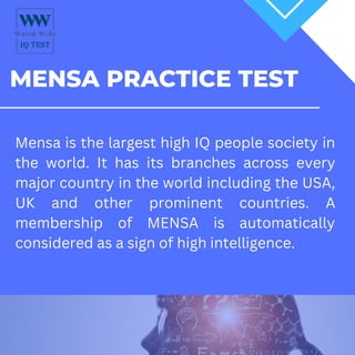 Official IQ Test | PDF