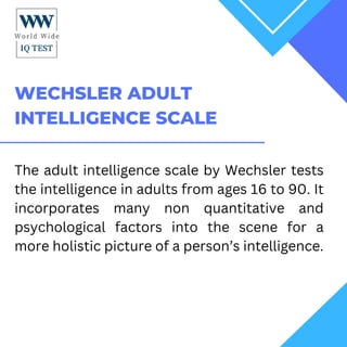 Official IQ Test | PDF