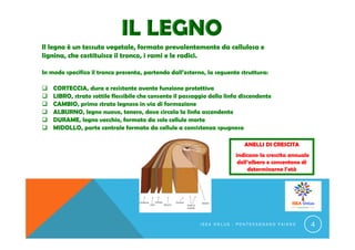 I quaderni dell'isea il legno | PPT