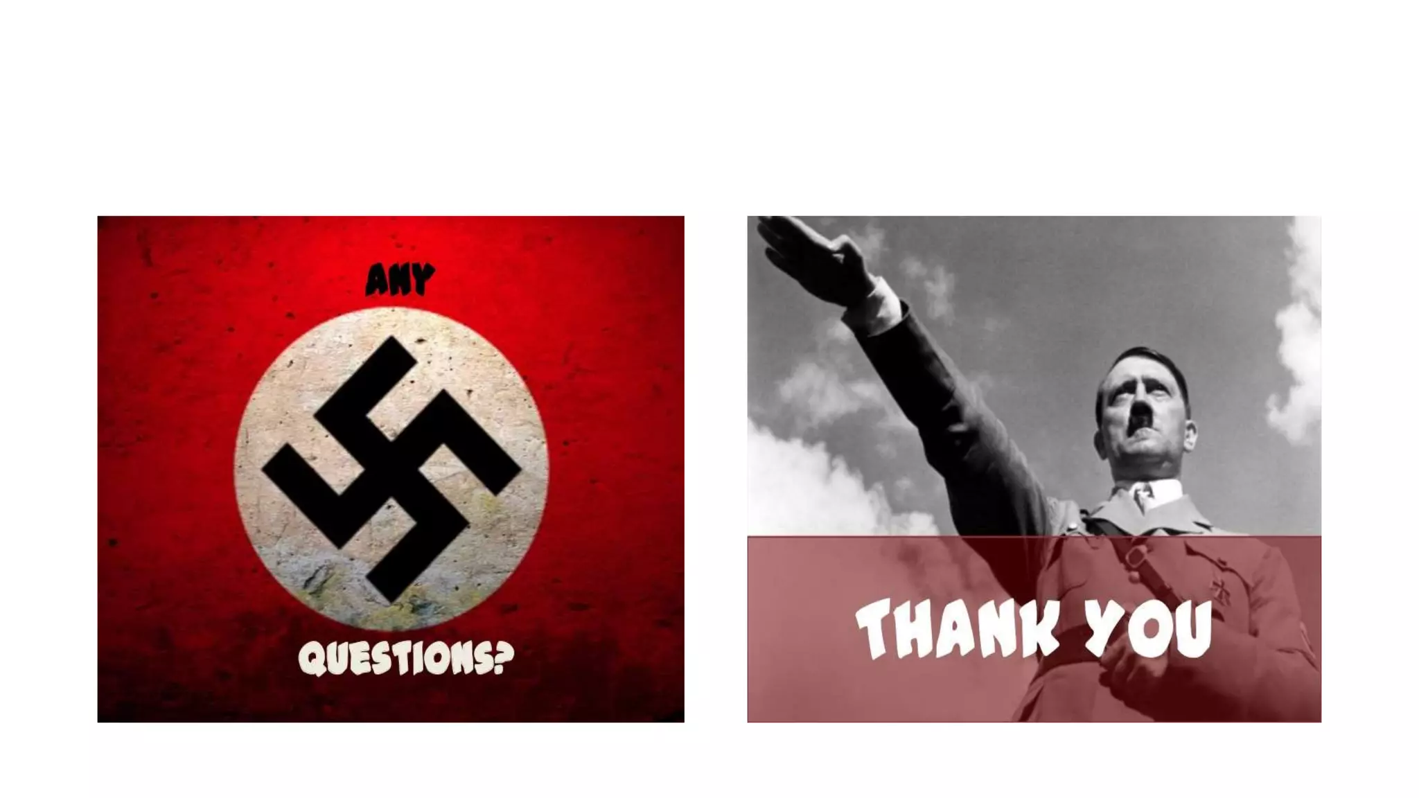 the rise and struggle of hitler | PPT