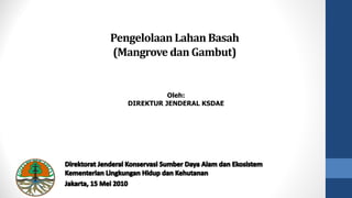 Pengelolaan lahan basah (mangrove dan gambut) | PDF