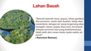 Pengelolaan lahan basah (mangrove dan gambut) | PDF
