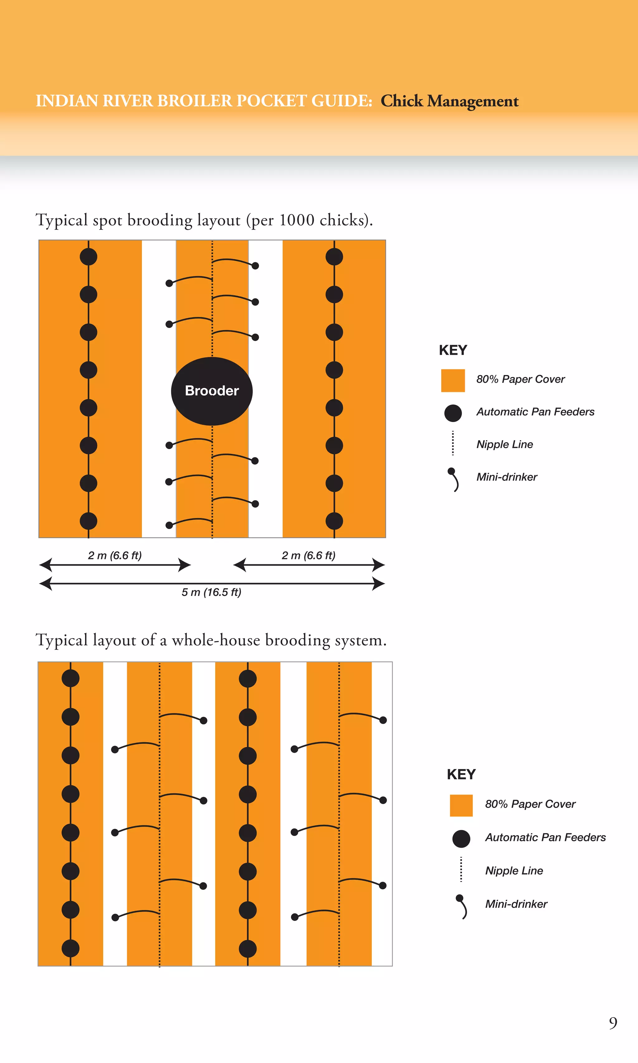 Indian River Broiler Pocket Guide | PDF