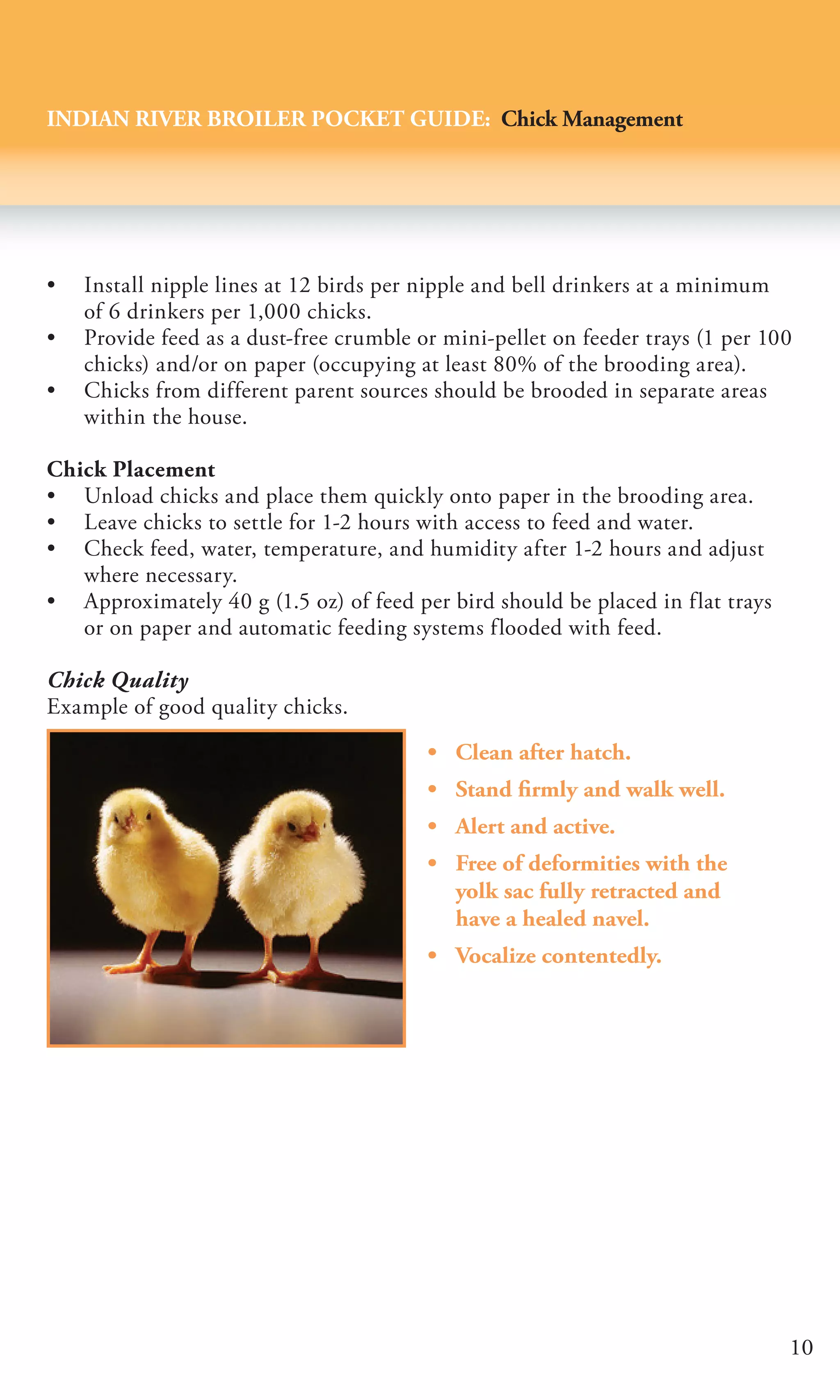 Indian River Broiler Pocket Guide | PDF