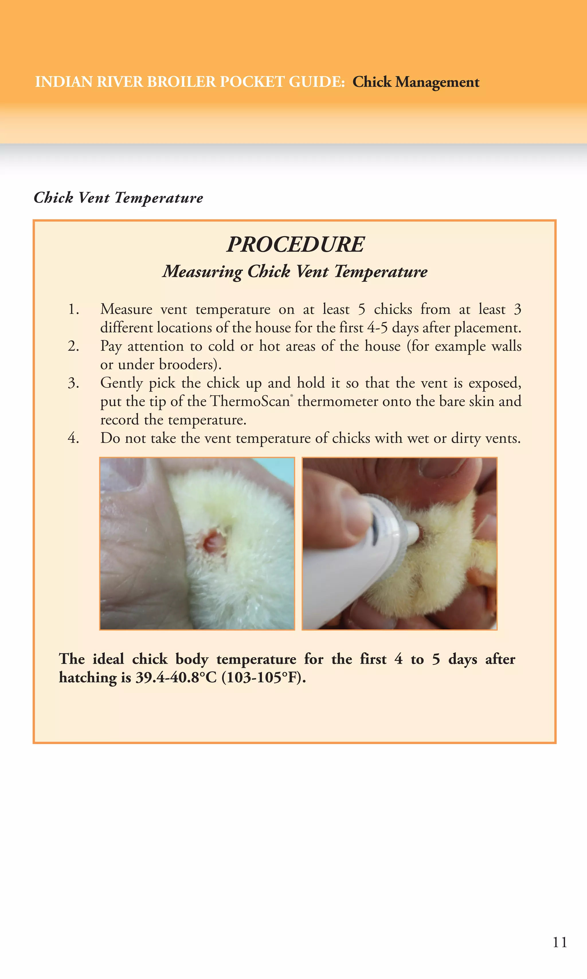 Indian River Broiler Pocket Guide | PDF