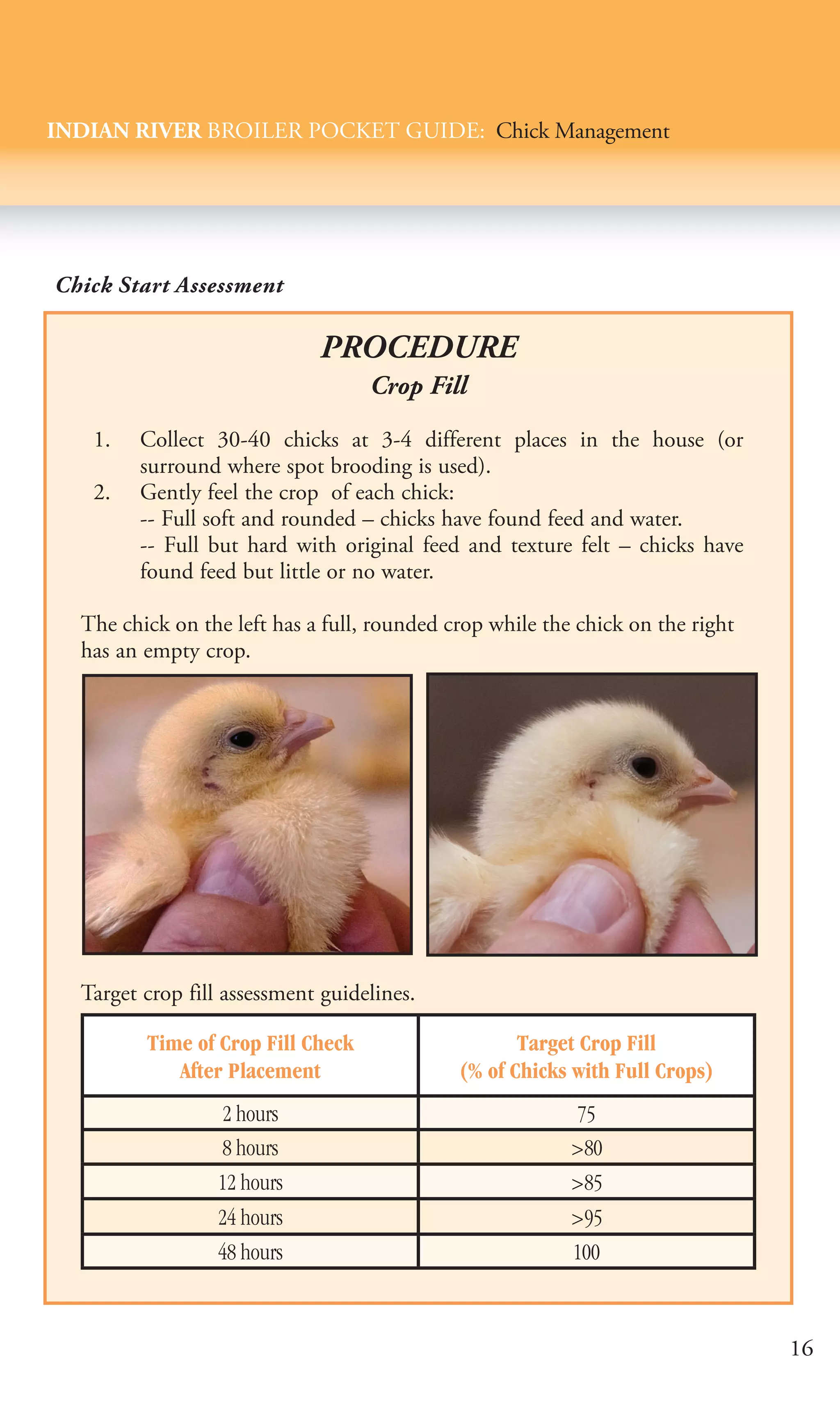 Indian River Broiler Pocket Guide | PDF