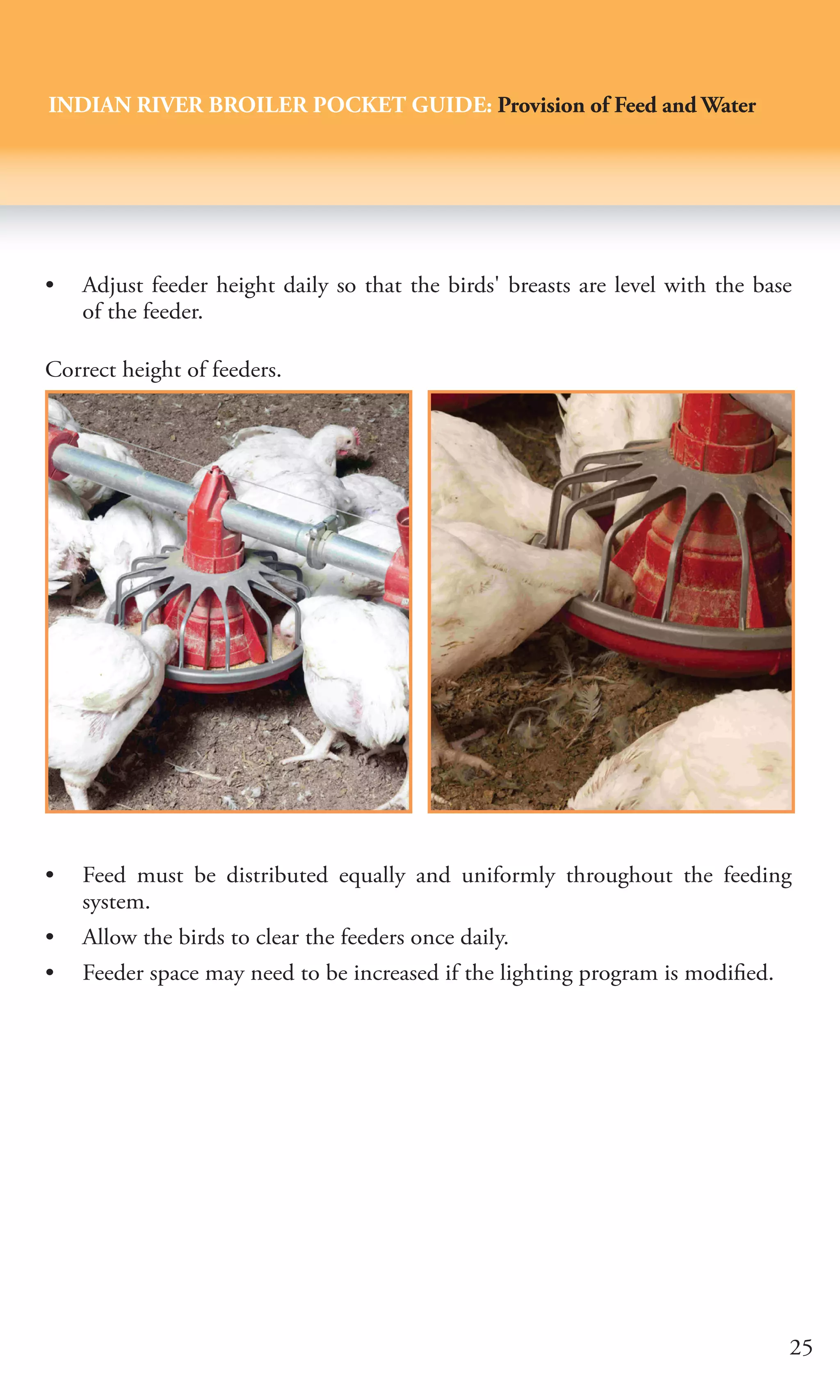 Indian River Broiler Pocket Guide | PDF