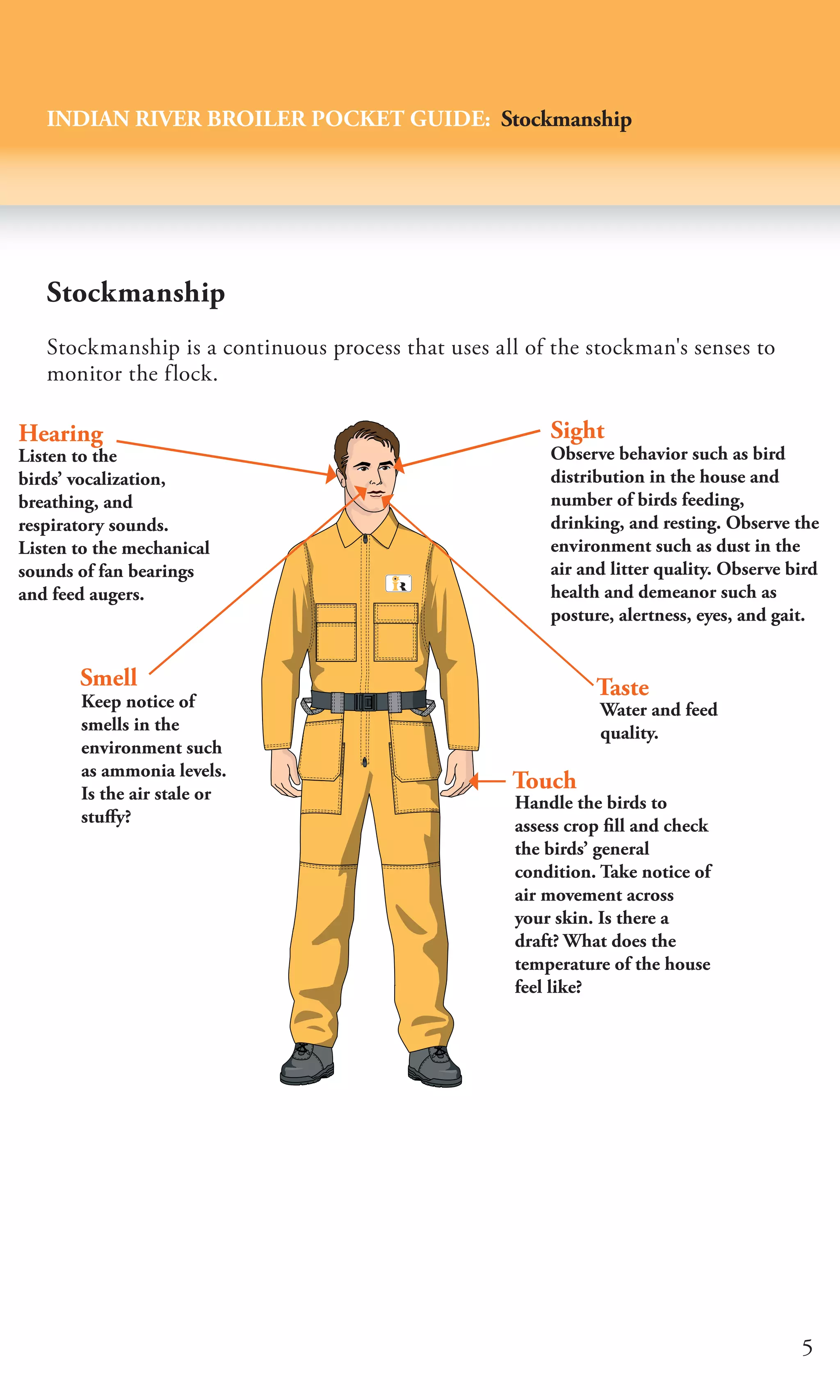 Indian River Broiler Pocket Guide | PDF