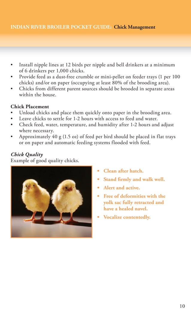 Indian River Broiler Pocket Guide | PDF | Birds | Pets