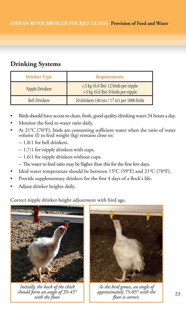 Indian River Broiler Pocket Guide | PDF | Birds | Pets