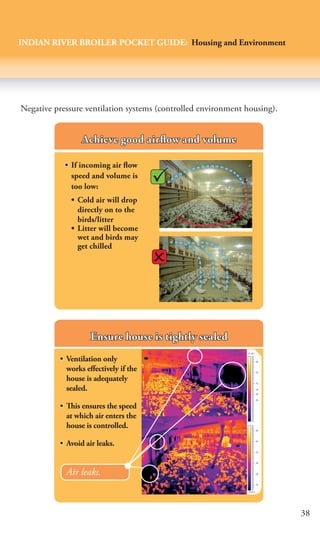 Indian River Broiler Pocket Guide | PDF