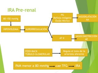 IRA insuficiencia renal aguda | PPTX